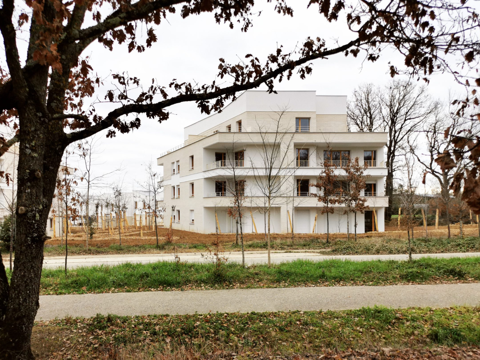 projets logements collectifs – BASIS architecture